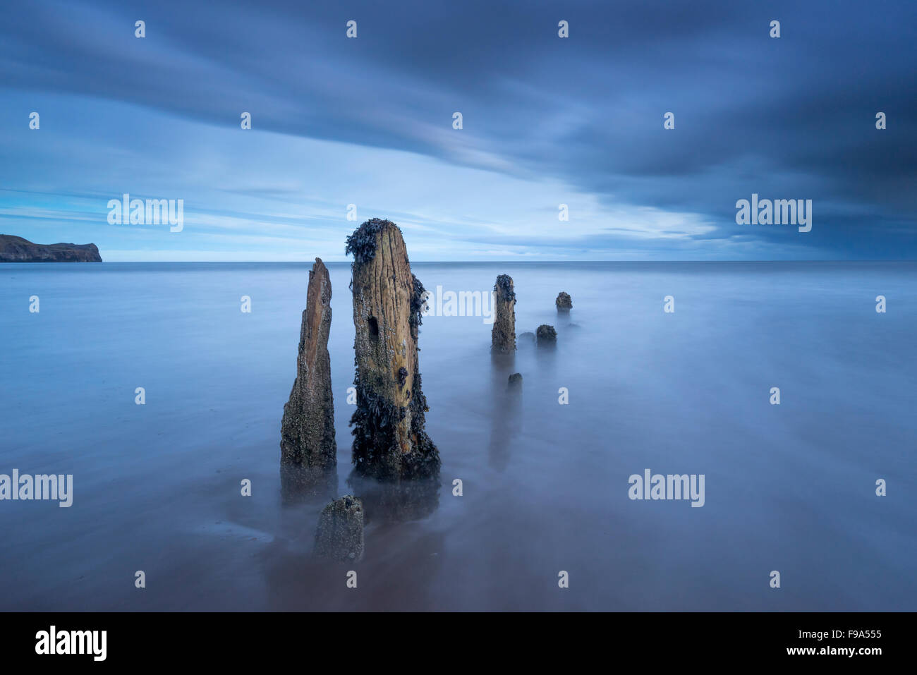 Beach groins hi-res stock photography and images - Alamy