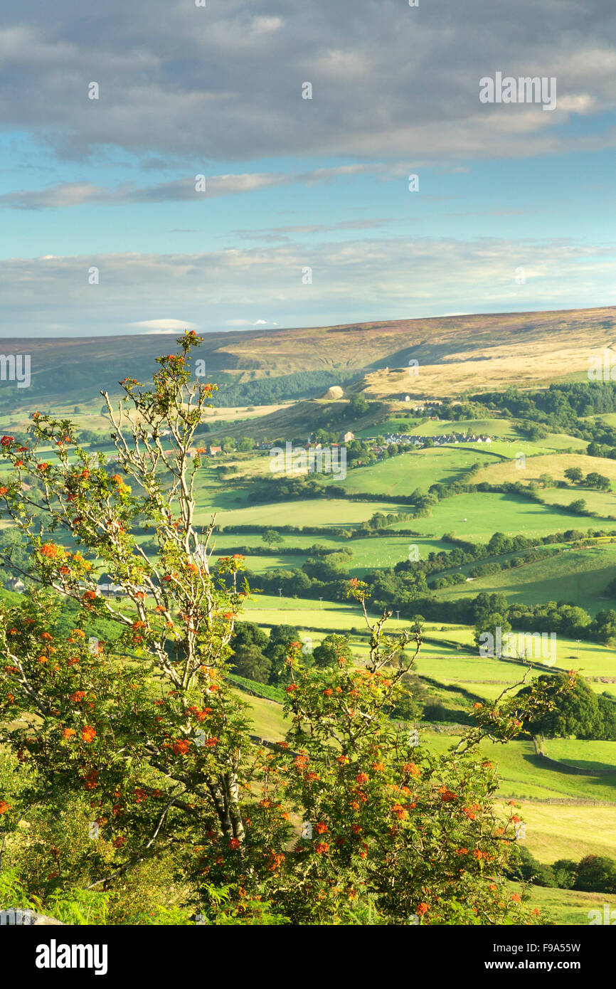 Rosedale fields hi-res stock photography and images - Alamy