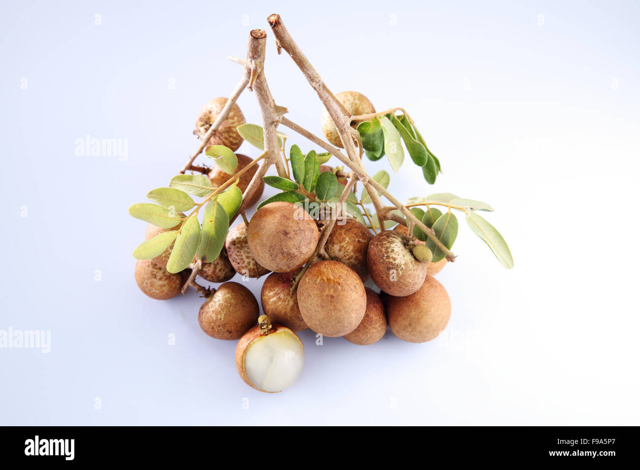 Longan, Dimocarpus longan on the white background Stock Photo - Alamy