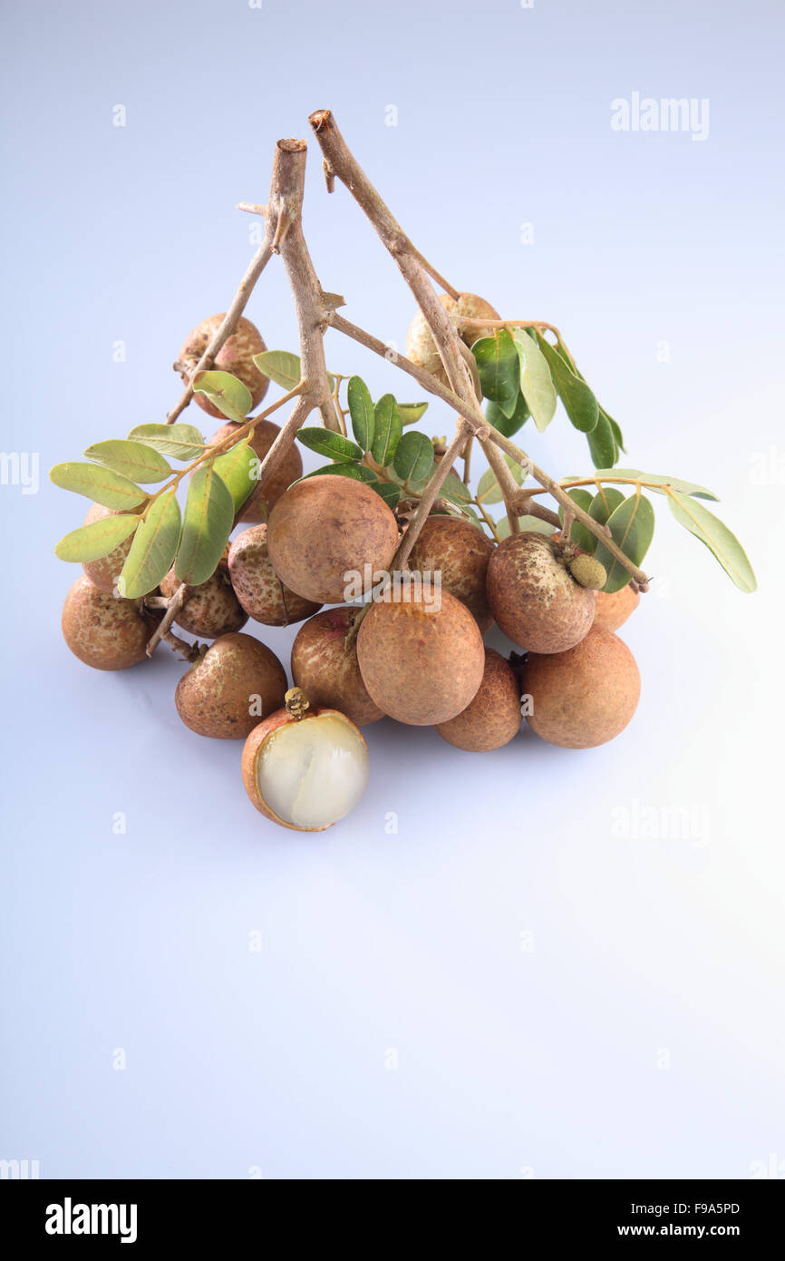 Longan, Dimocarpus longan on the white background Stock Photo - Alamy