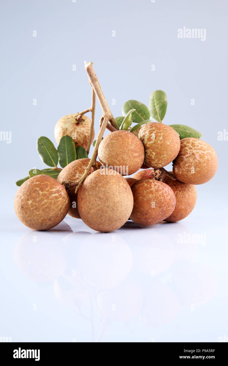 Longan, Dimocarpus longan on the white background Stock Photo - Alamy