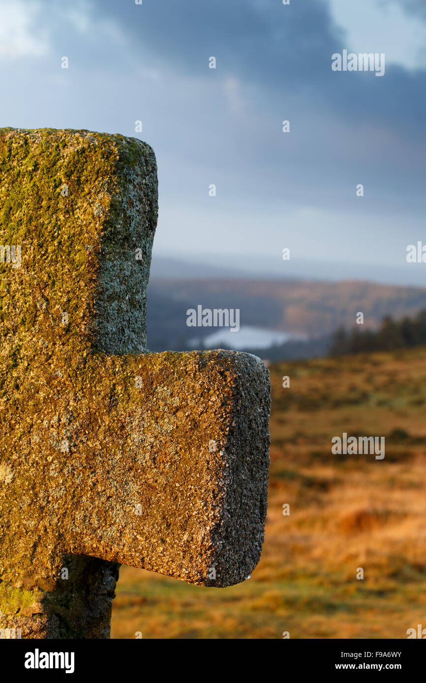 Dartmoor burrator devon cross hi-res stock photography and images - Alamy