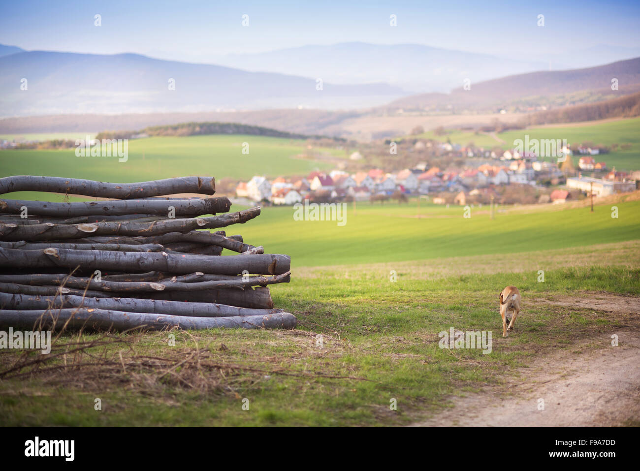 Beautiful village countryside landscape with dog running in background ...