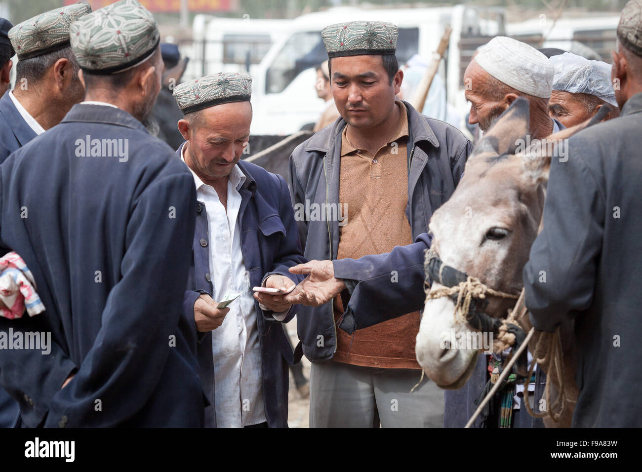 Tenders on the famous animal market in Kashgar. Xinjiang, China Stock ...