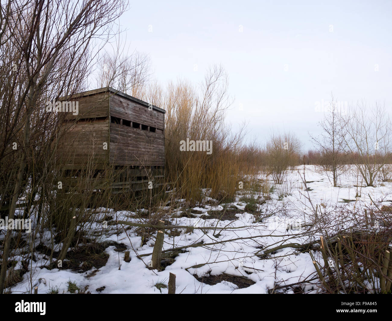 Wooden bird hide hi-res stock photography and images - Alamy