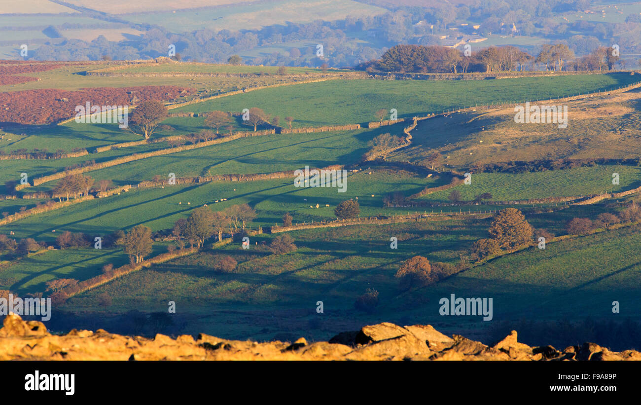 The newtake walls superimposed upon prehistoric Bronze Age reaves of ...