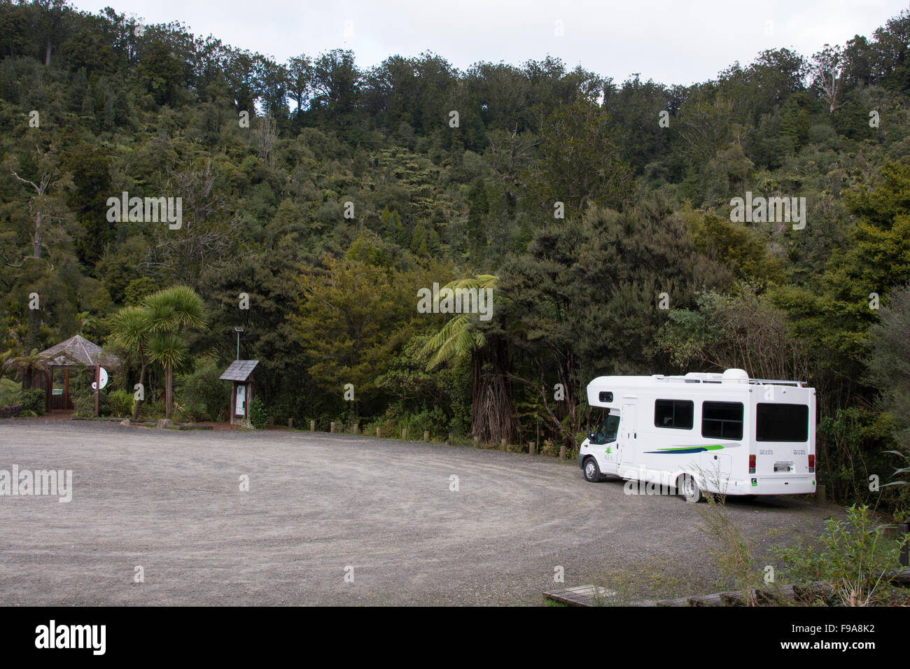 Kea Campervan in the Cascade Kauri Park in the Waitakere Ranges just ...