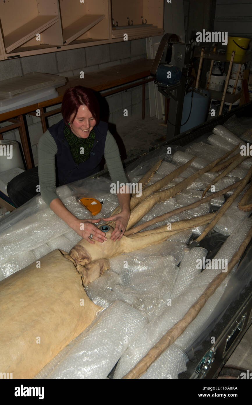 Kathrin bolstad hi-res stock photography and images - Alamy