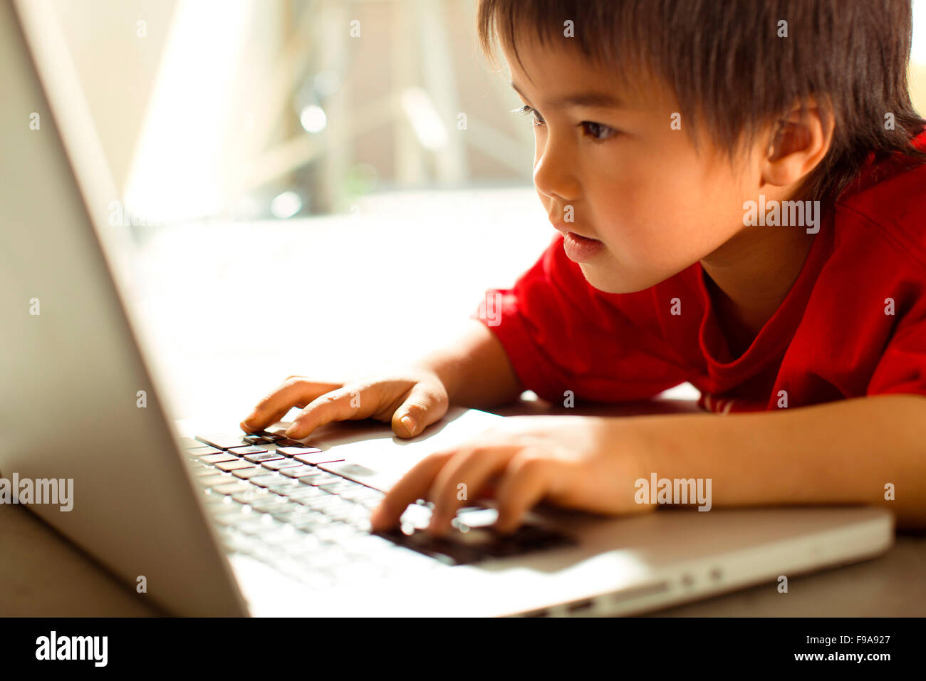 Little kid playing on the laptop Stock Photo - Alamy