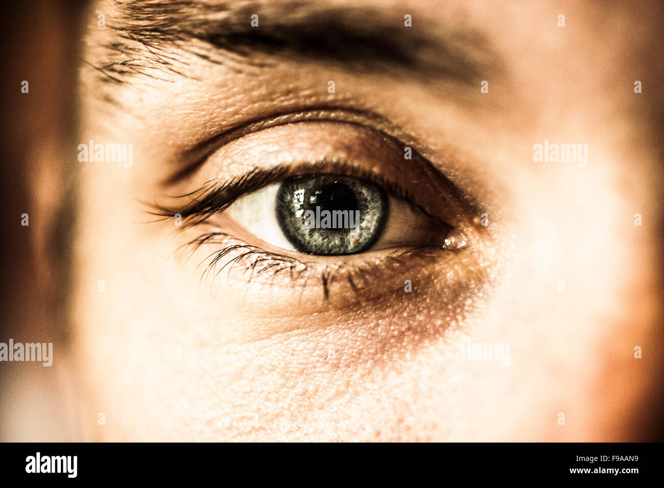 Close up of a man's eye Stock Photo - Alamy