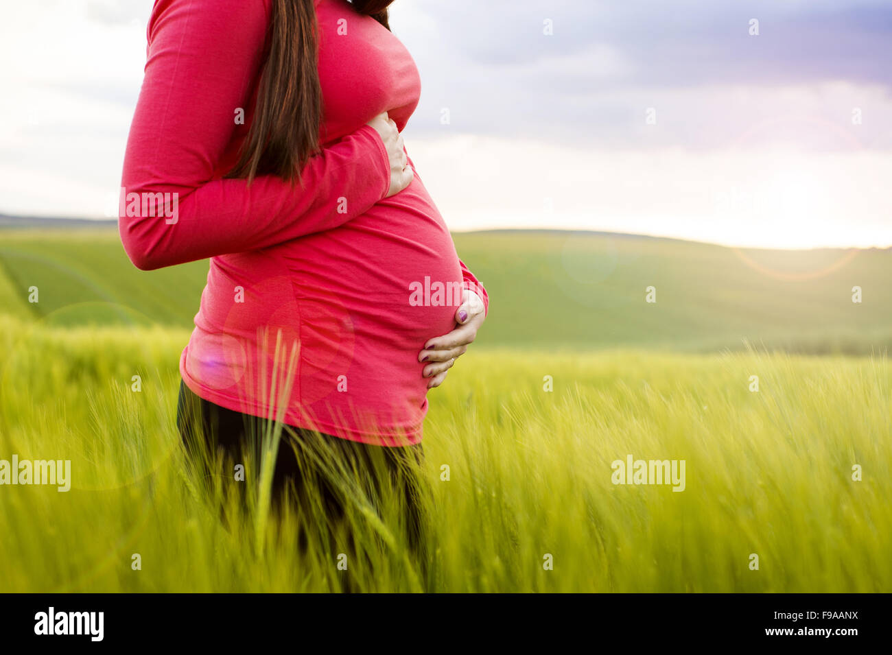 Outdoor natural portrait of beautiful pregnant woman in field Stock ...