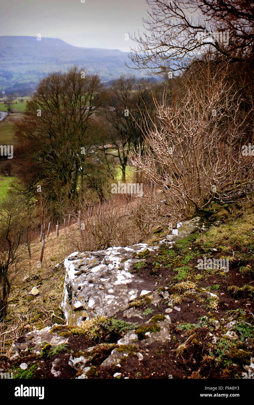Leyburn autumn hi-res stock photography and images - Alamy