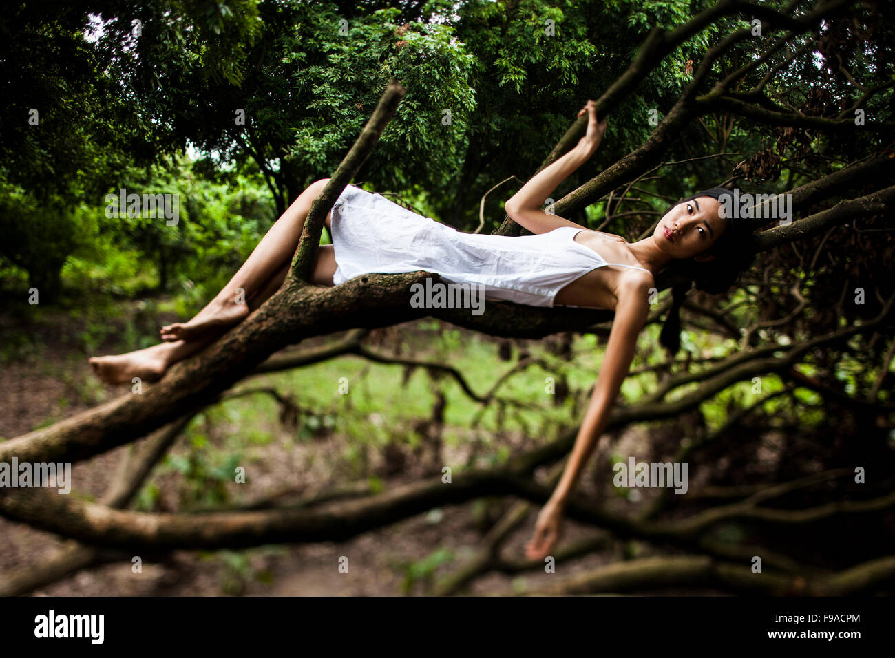 A young Vietnamese woman lying down on tree branches in the middle of a ...
