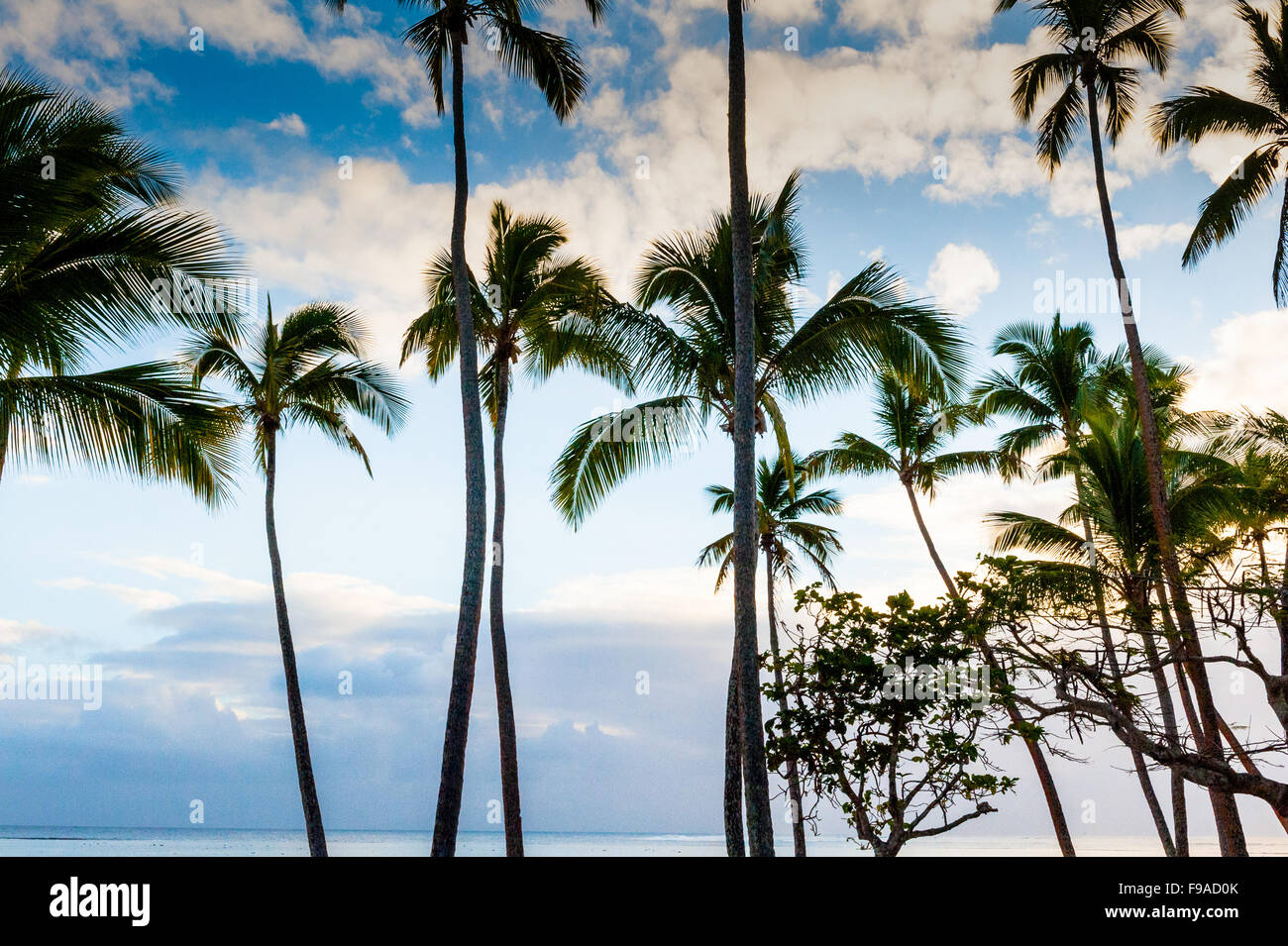 Yanuca island hi-res stock photography and images - Alamy