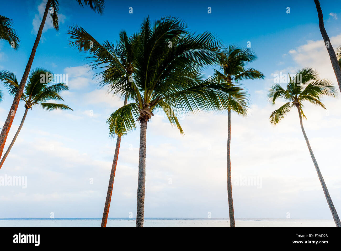 Beach front at Shangri-La Fijian Resort and Spa, Yanuca Island,Coral ...