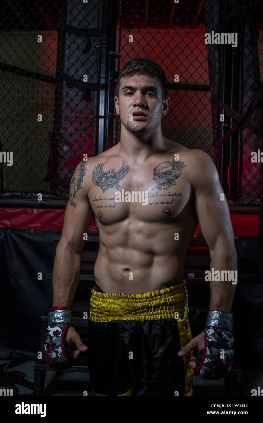 Mixed martial arts fighter Stock Photo - Alamy