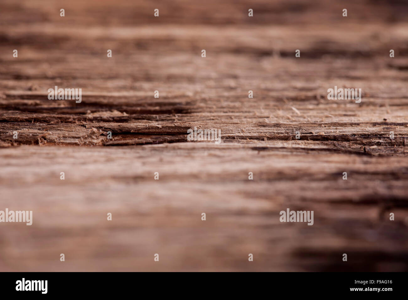 Texture of old rotten wood closeup Stock Photo - Alamy