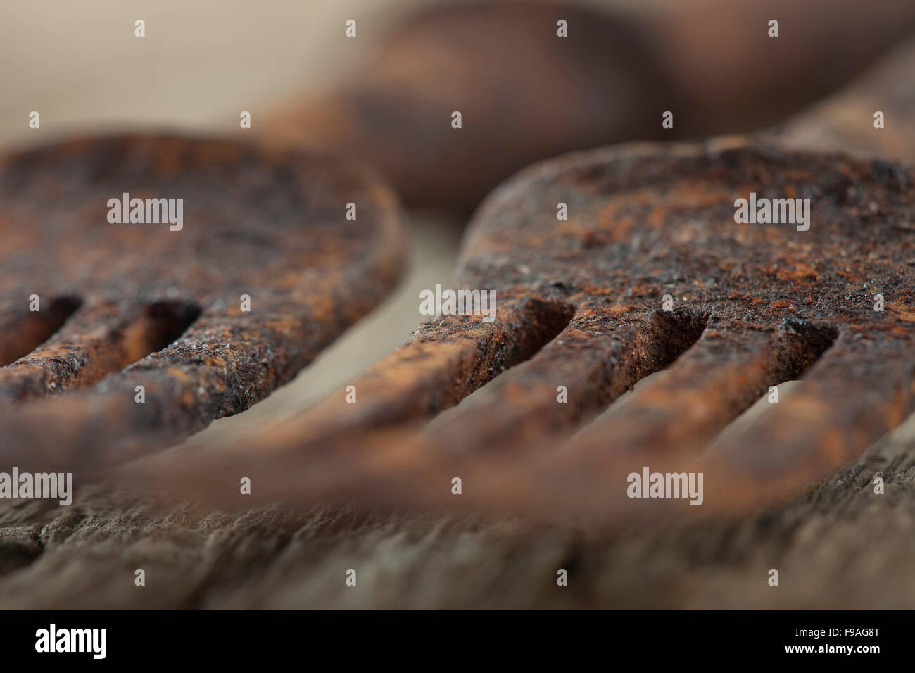 two old rusty forks closeup still life Stock Photo - Alamy