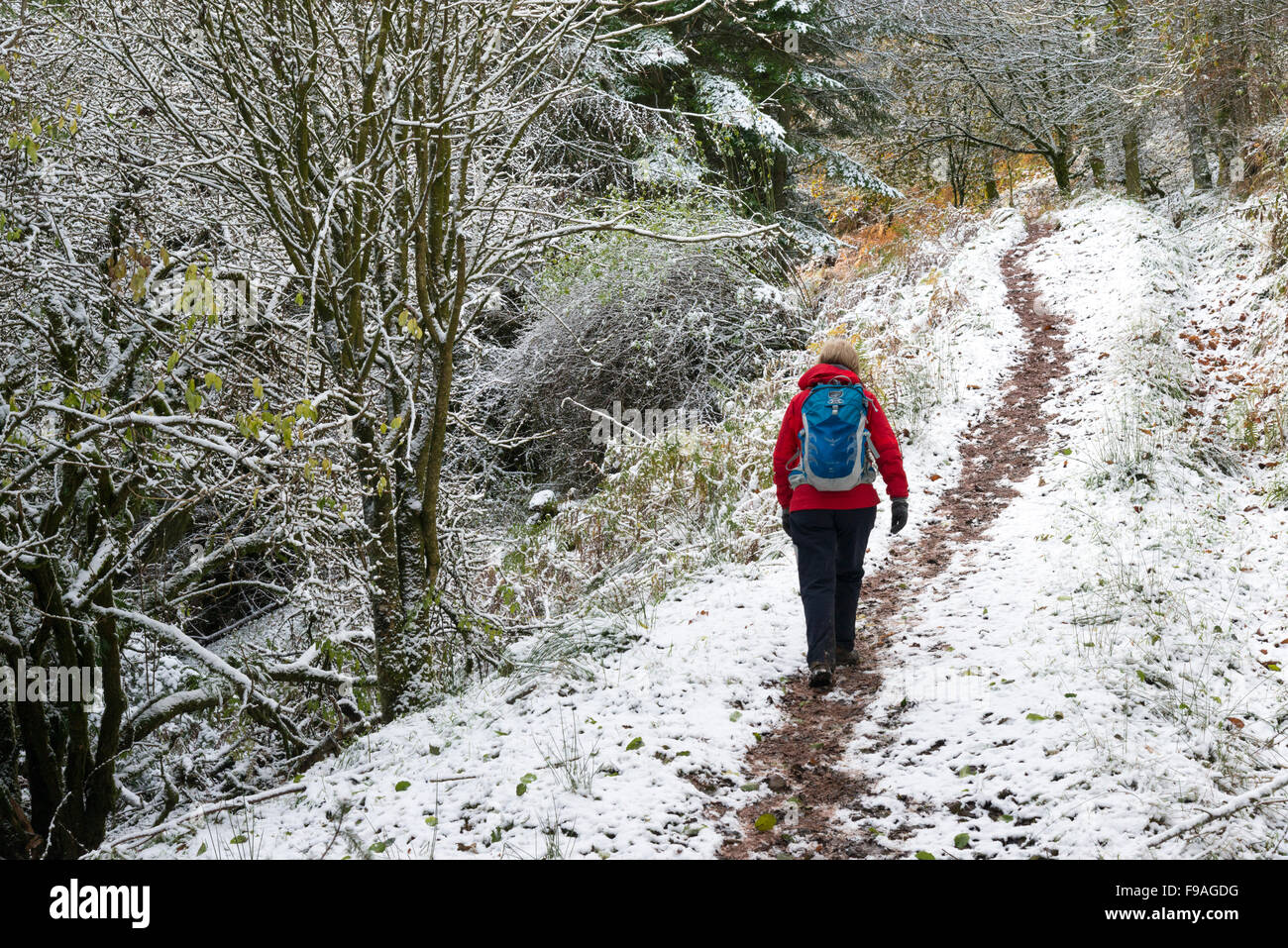 Walking exercises hi-res stock photography and images - Alamy