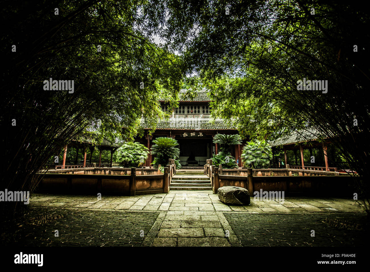 Temple in a dense forest Stock Photo - Alamy