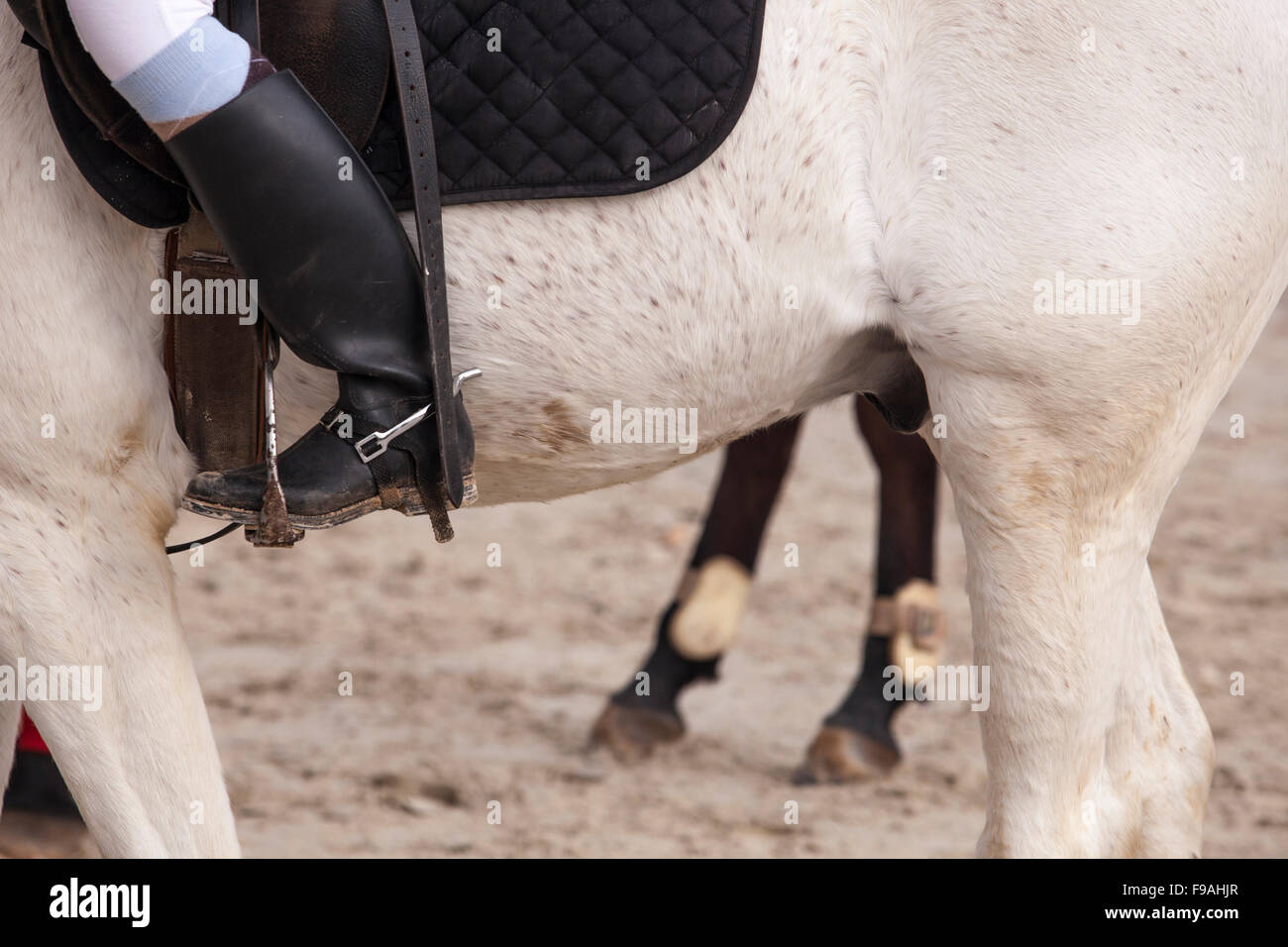 Jumping boot hi-res stock photography and images - Alamy