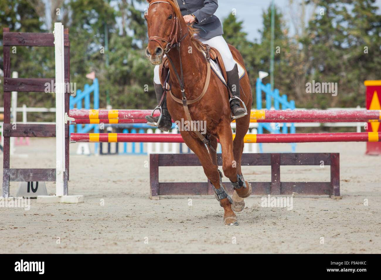 Trotting Track Stock Photos & Trotting Track Stock Images - Alamy