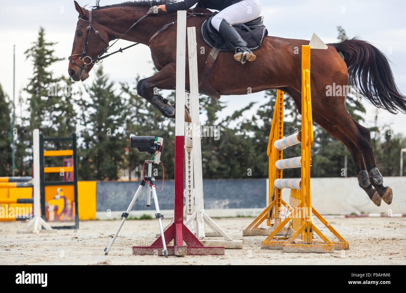 Rider jumping with horse over obstacle at competition outdoors Stock ...