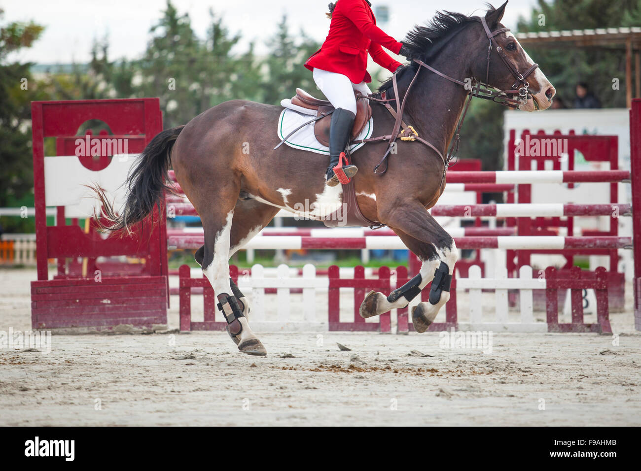 Trotting Track Stock Photos & Trotting Track Stock Images - Alamy