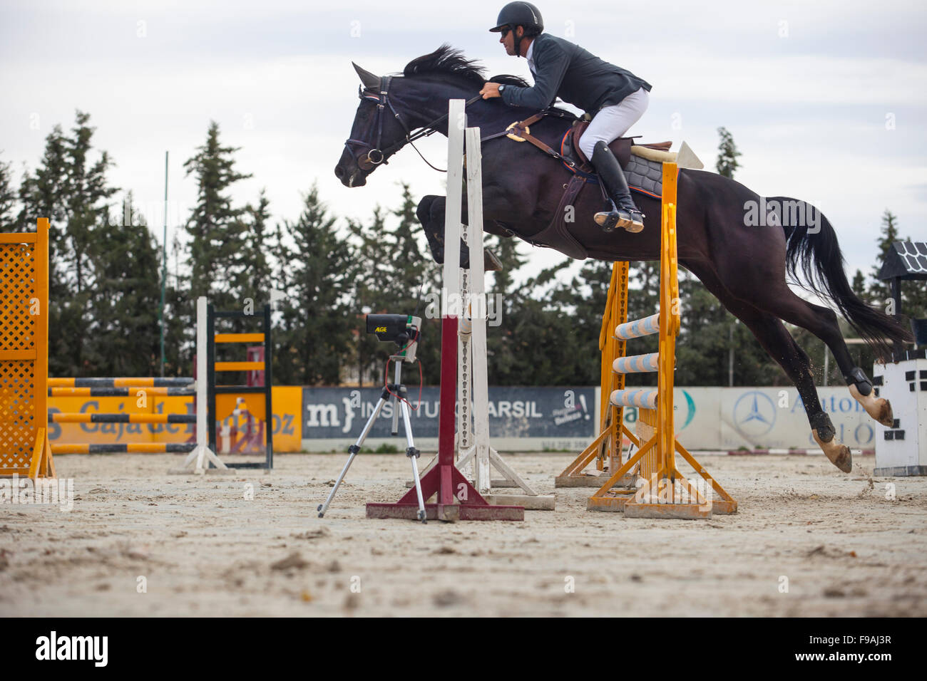 BADAJOZ, SPAIN - Nov 22: Rider jumping with horse over obstacle at Poni ...