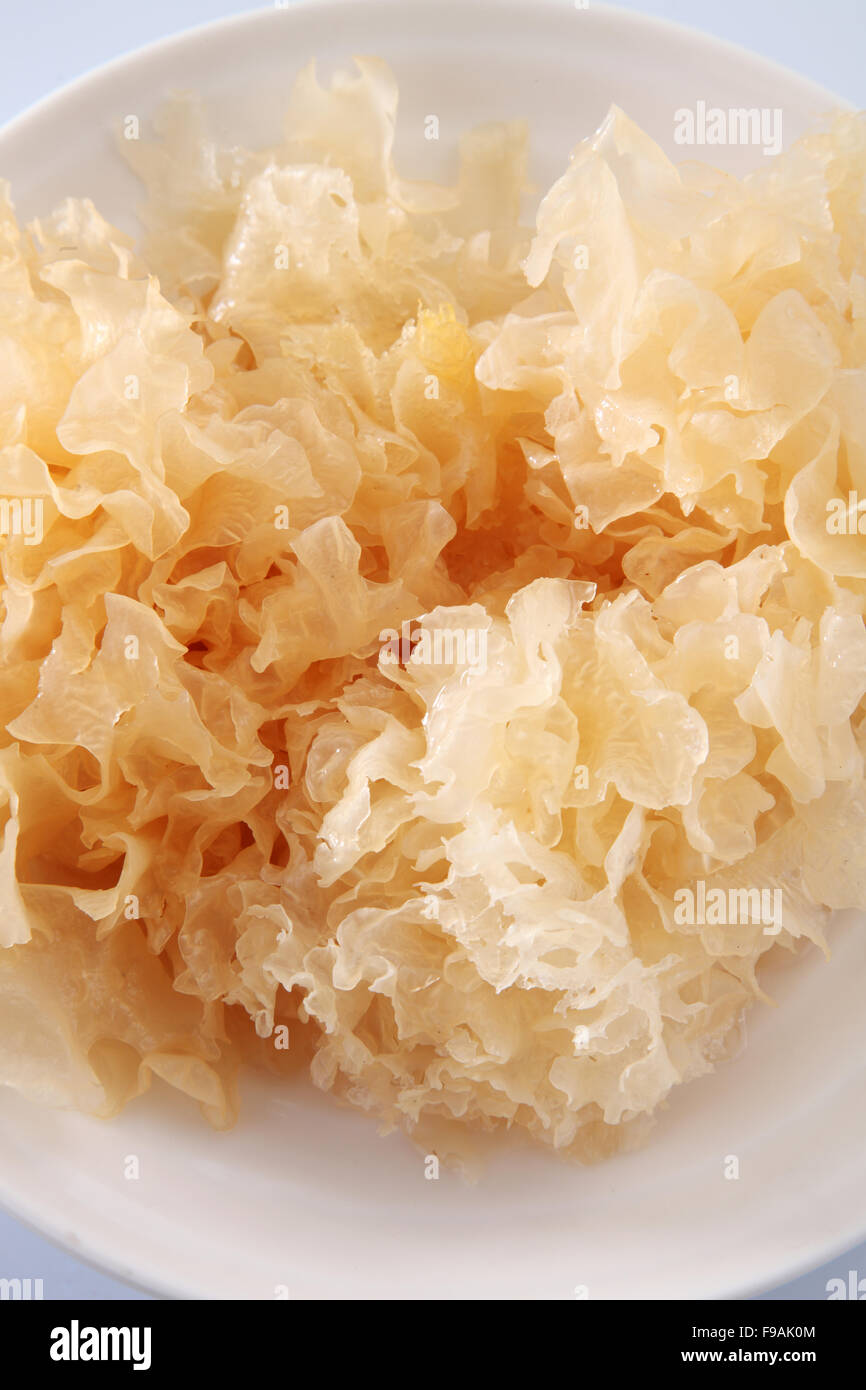snow jelly fungus chinese traditional medicine for health Stock Photo ...
