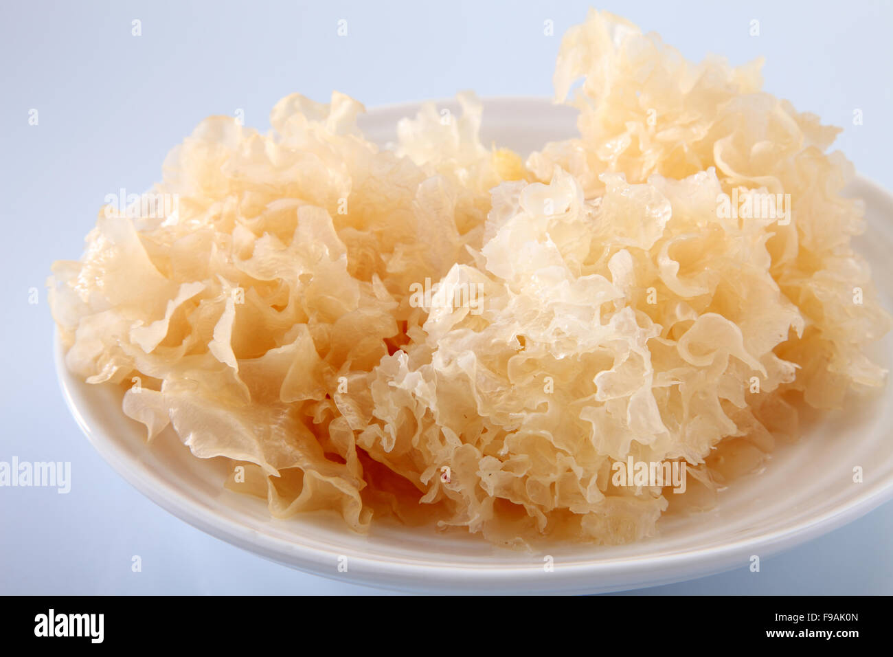 snow jelly fungus chinese traditional medicine for health Stock Photo ...