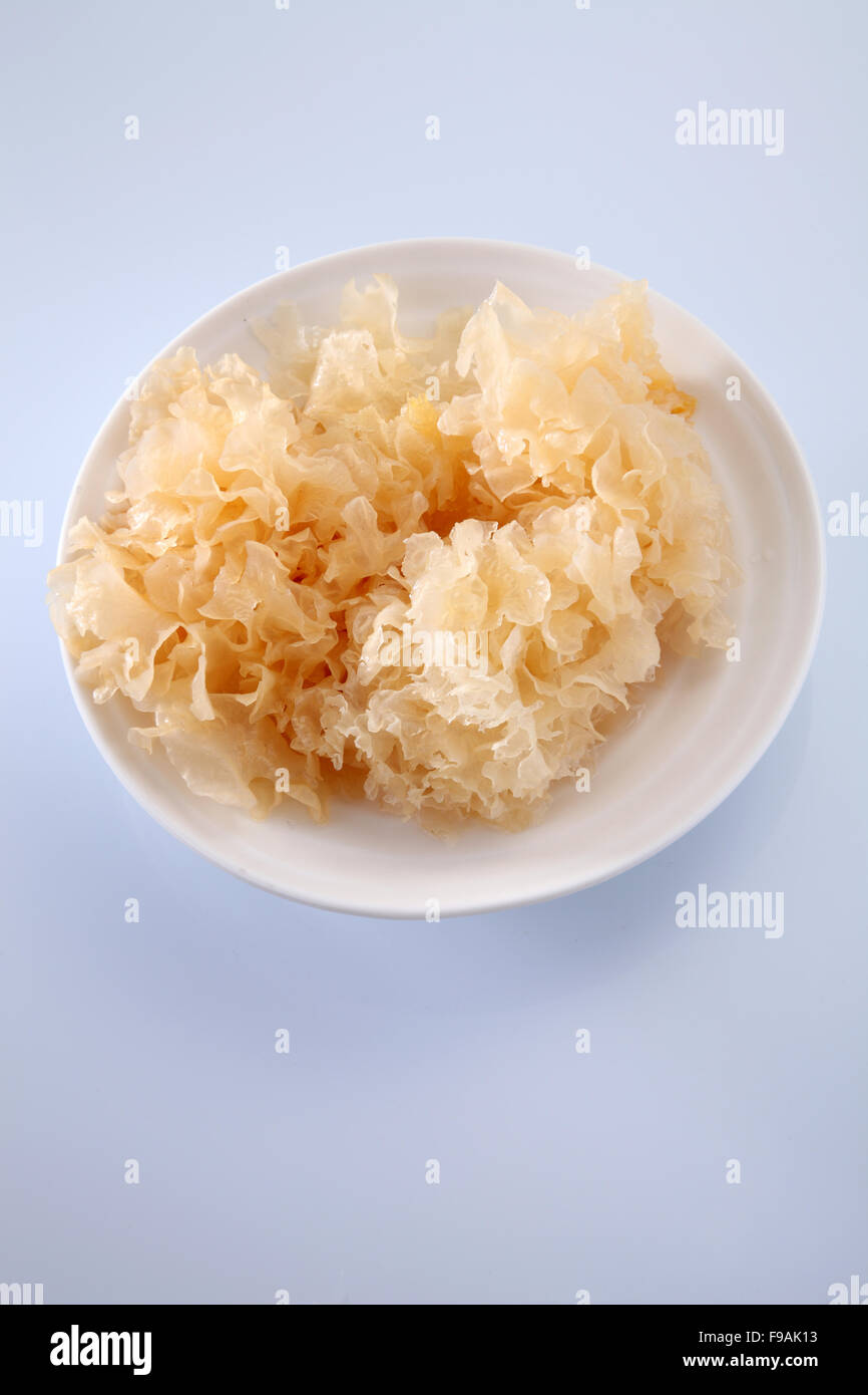snow jelly fungus chinese traditional medicine for health Stock Photo ...