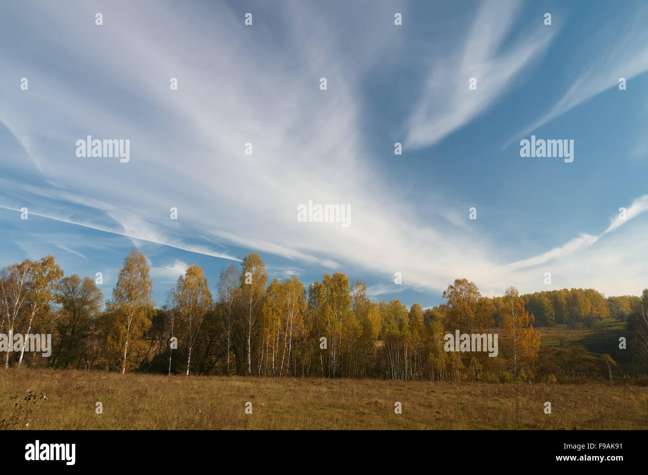 Clear october sky hi-res stock photography and images - Alamy