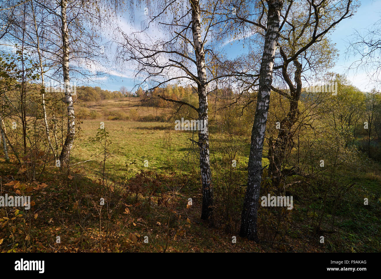 Horizontal perspective view red hi-res stock photography and images - Alamy