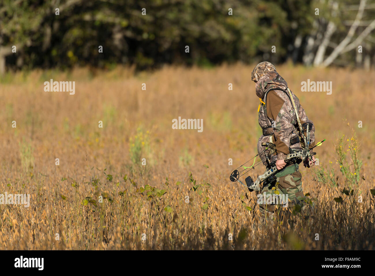 A young Bowhunter going out hunting Stock Photo - Alamy