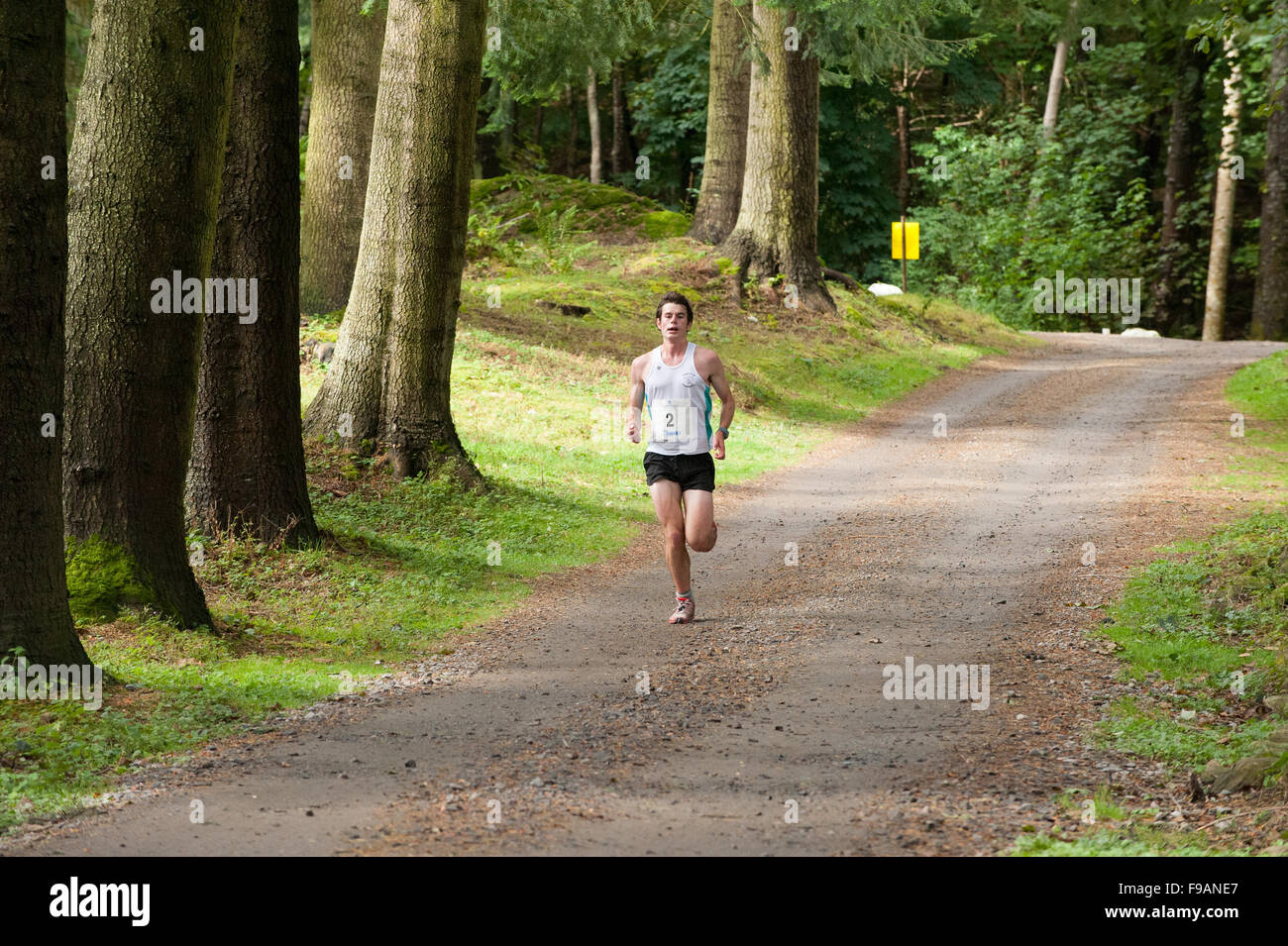 Man running in half marathon at Crathes Castle in Aberdeenshire ...
