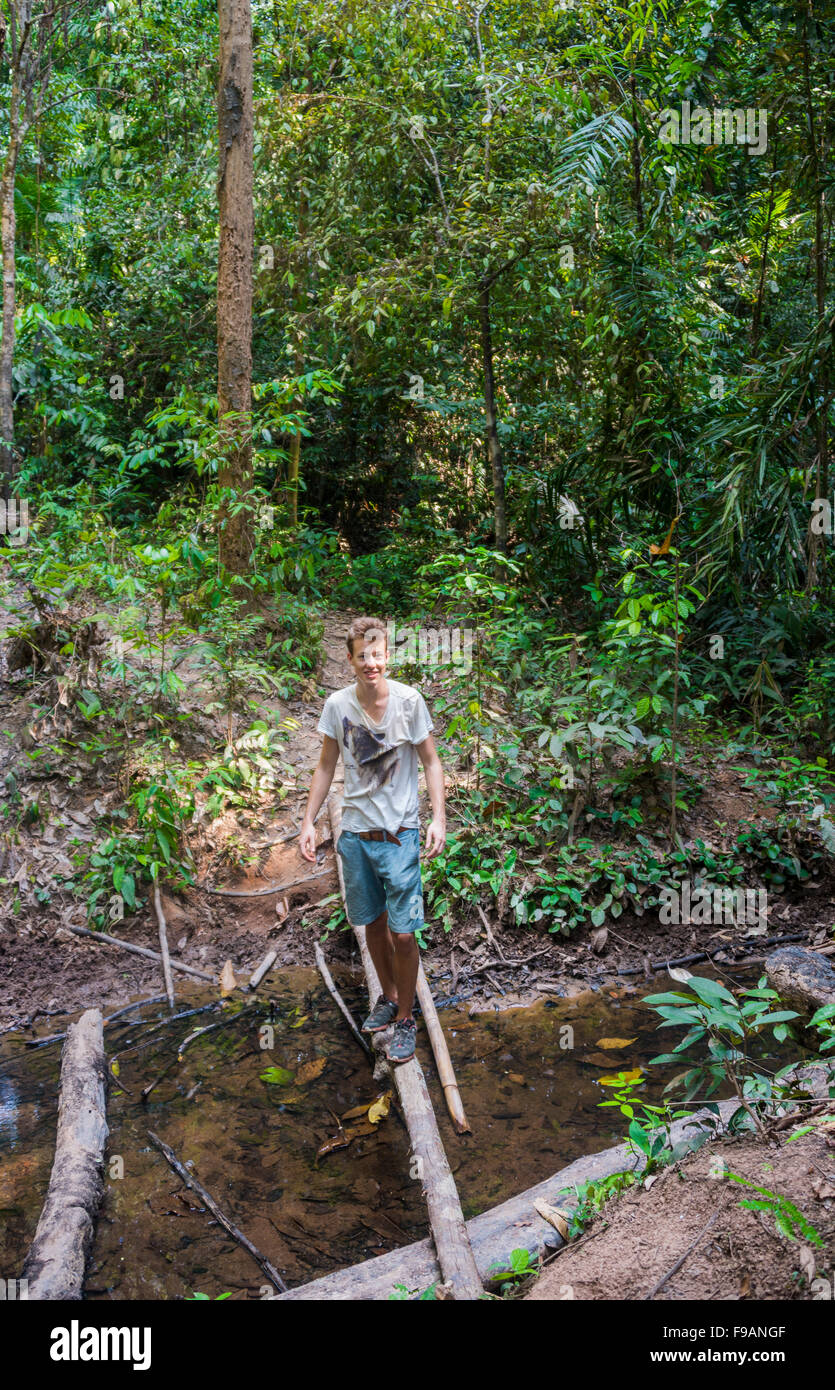 Hiker, young man balancing on tree trunk in jungle, Kuala Tahan, Taman ...