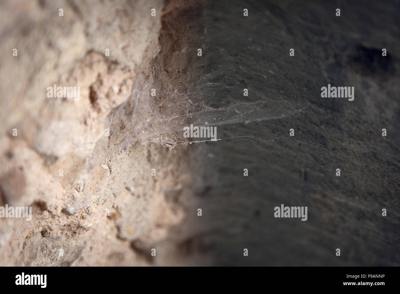 Old cobwebs in corner hi-res stock photography and images - Alamy