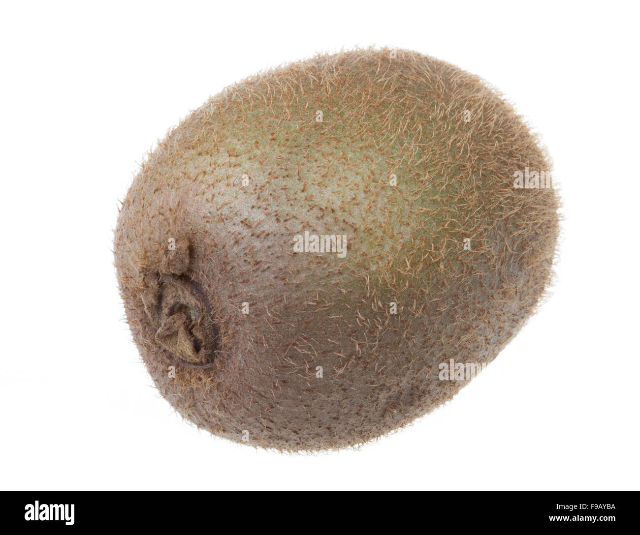 kiwi fruit on a white background Stock Photo - Alamy