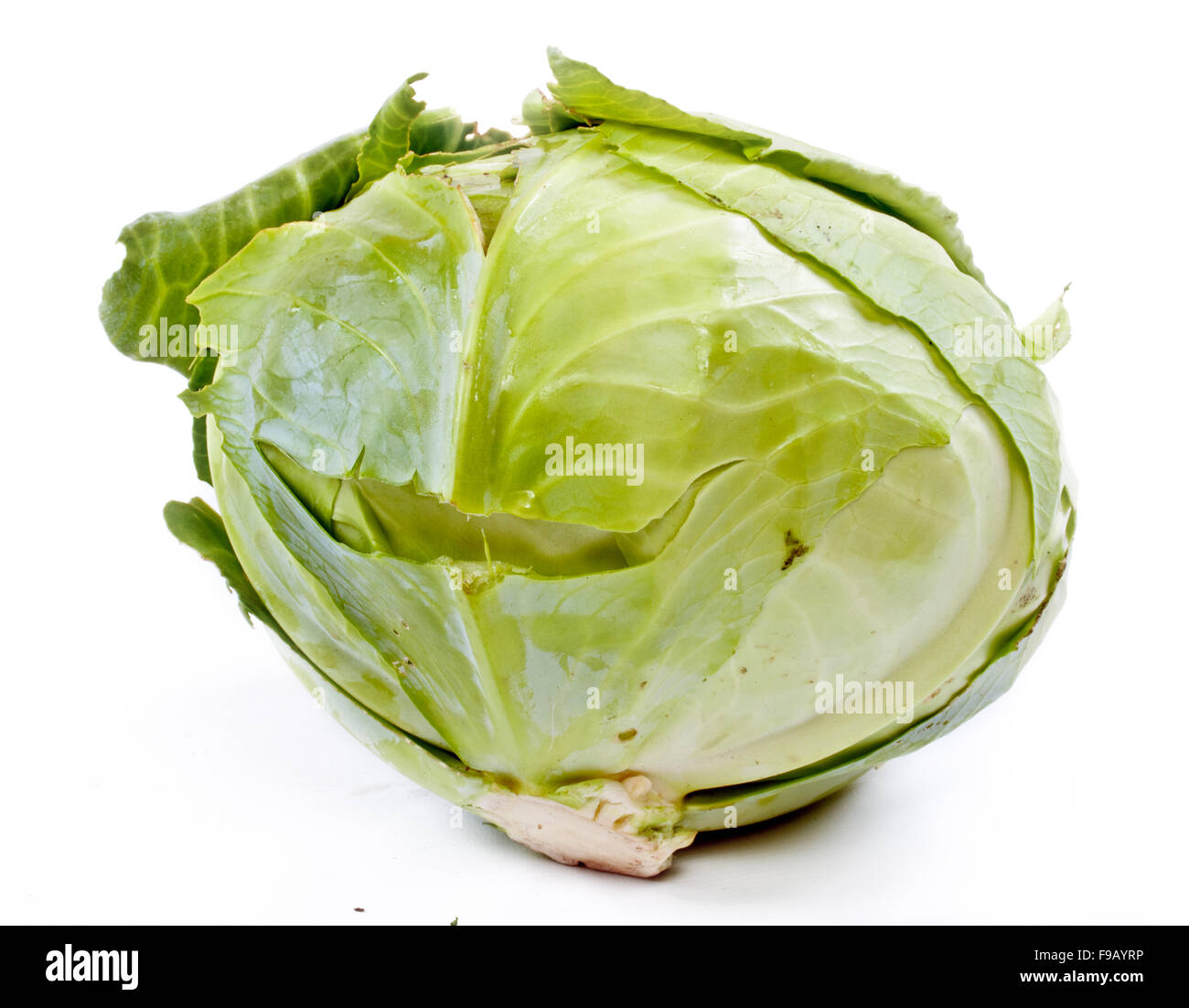 Cabbage isolated on white Stock Photo - Alamy