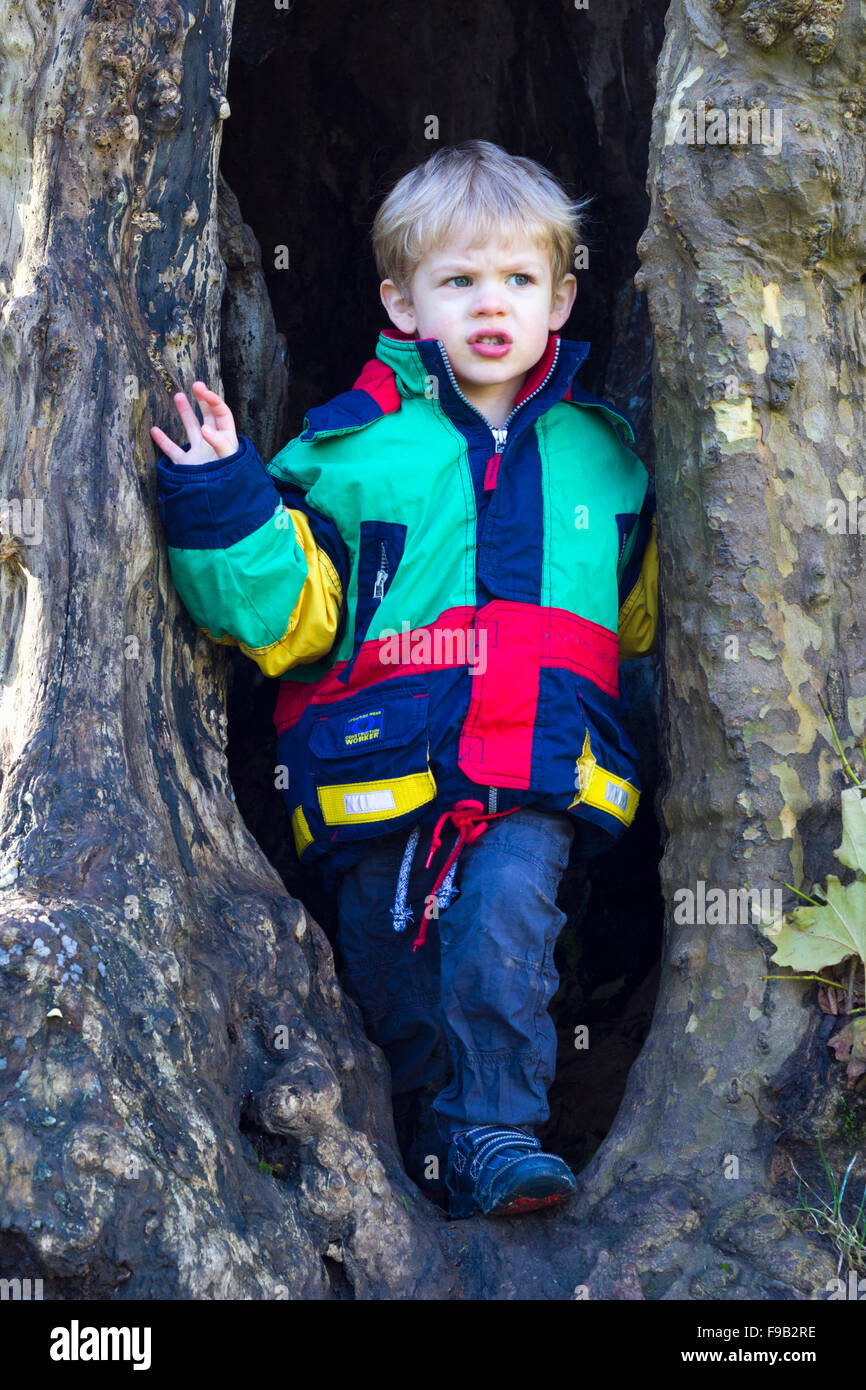 Young boy inside a tree Stock Photo - Alamy
