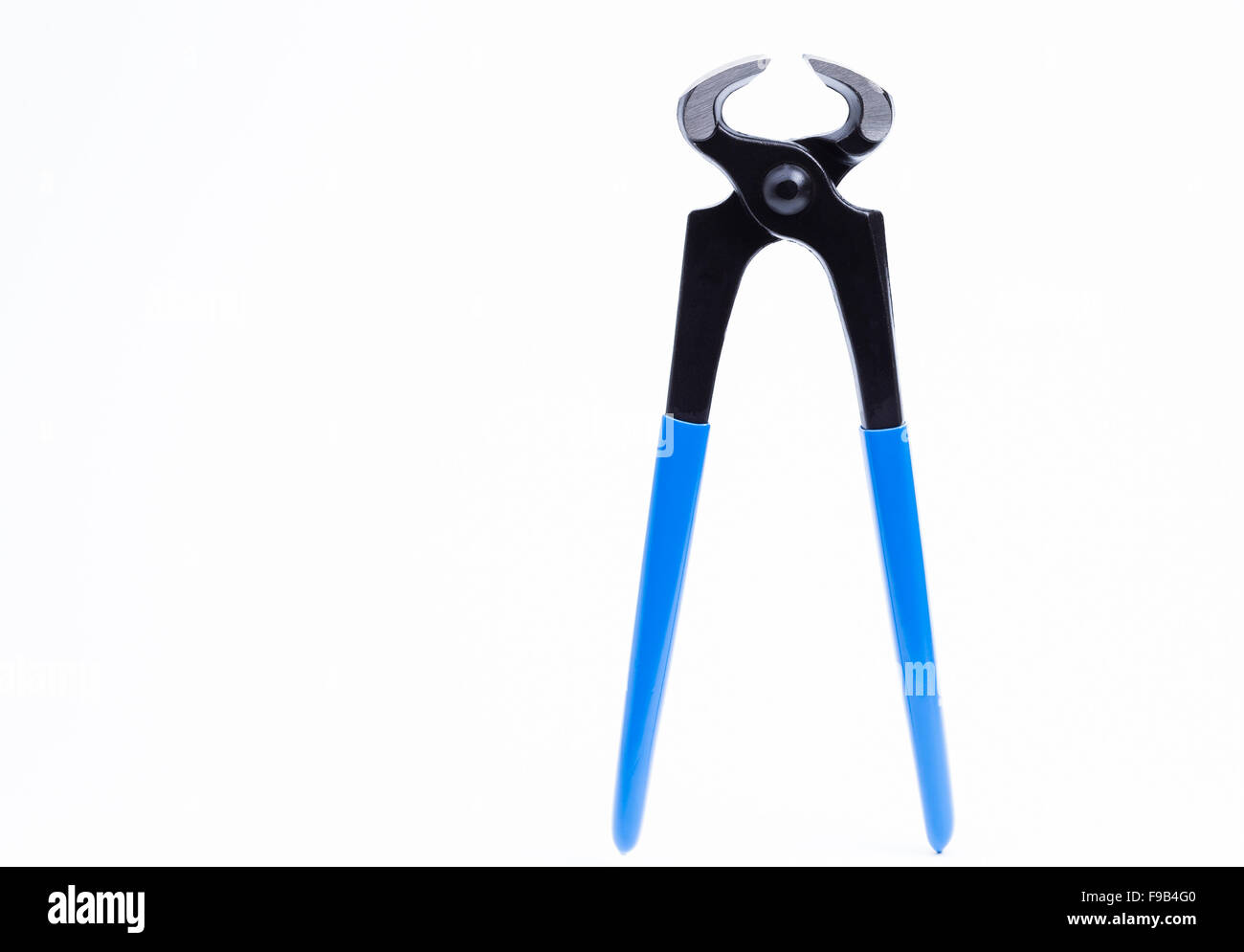 Image shows a pair of pincers isolated on white background Stock Photo ...