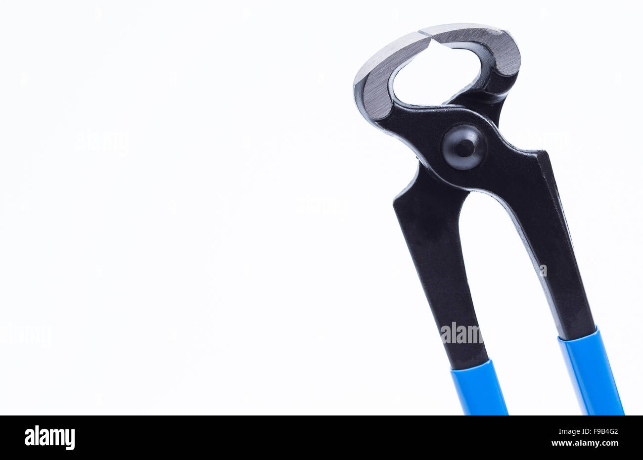 Image shows a pair of pincers isolated on white background Stock Photo ...