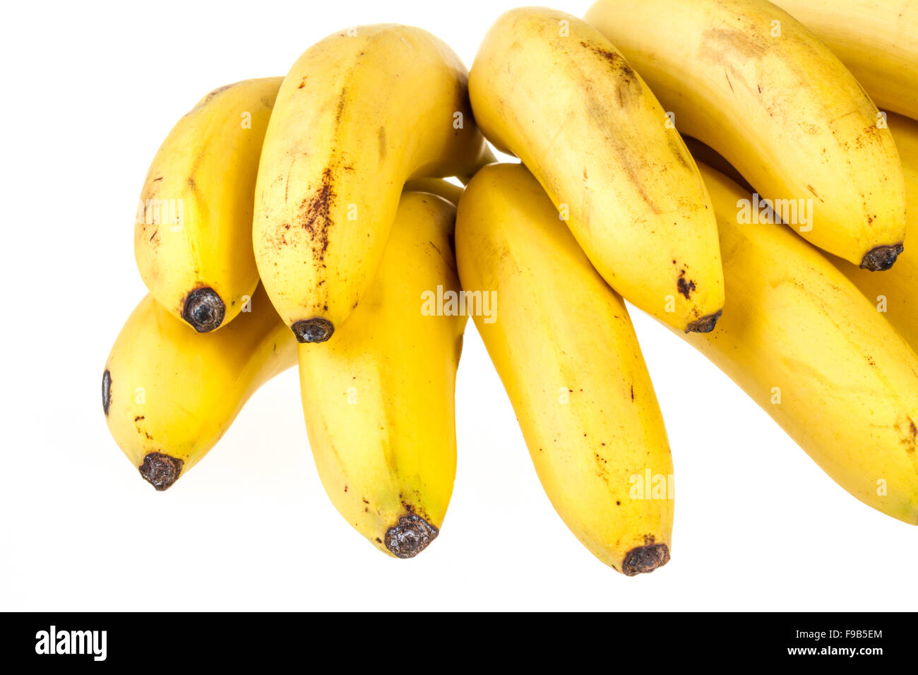 Mini bananas isolated on a white background Stock Photo - Alamy