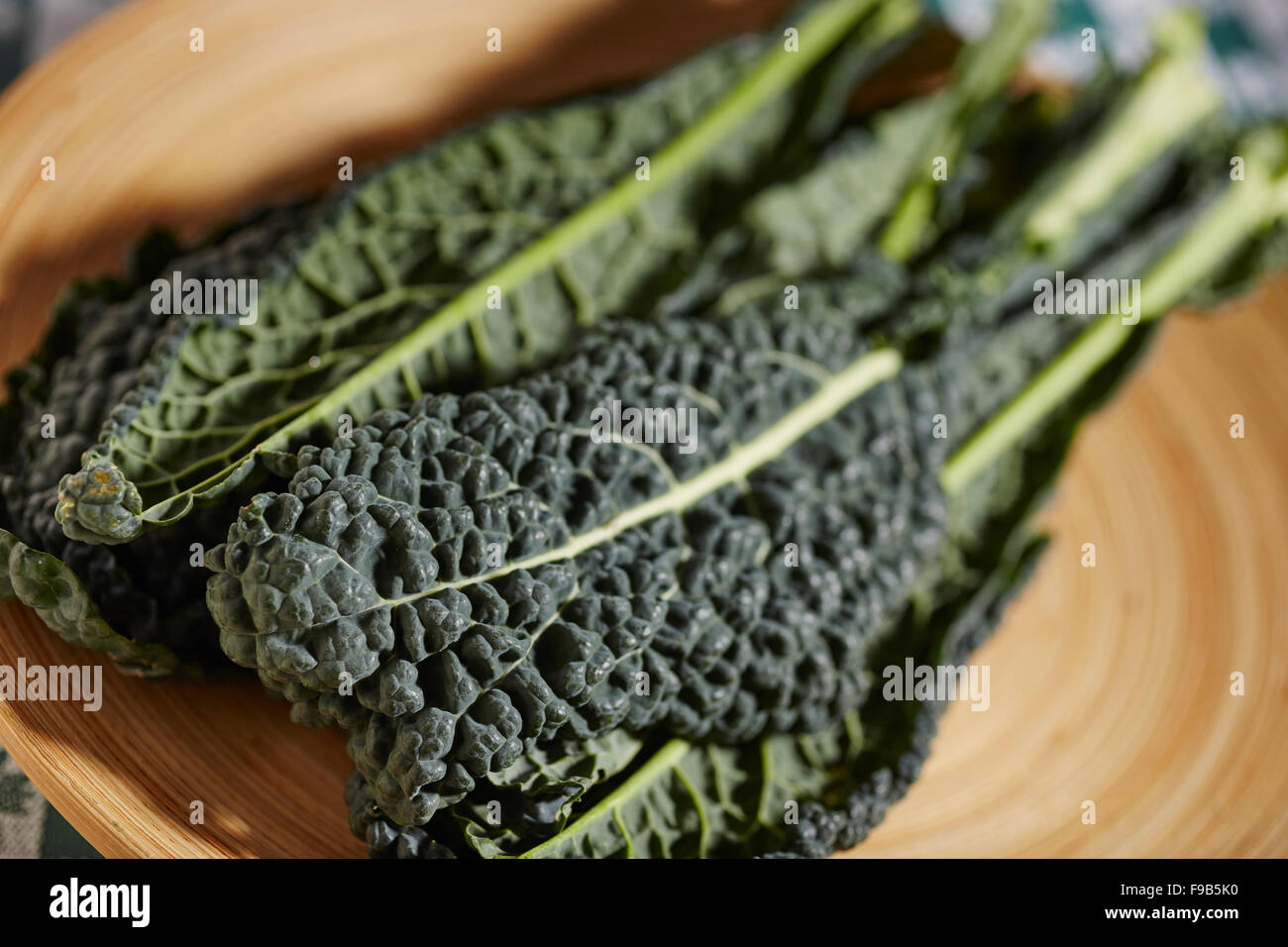 Black Cabbage, also called Tuscan Kale Stock Photo - Alamy