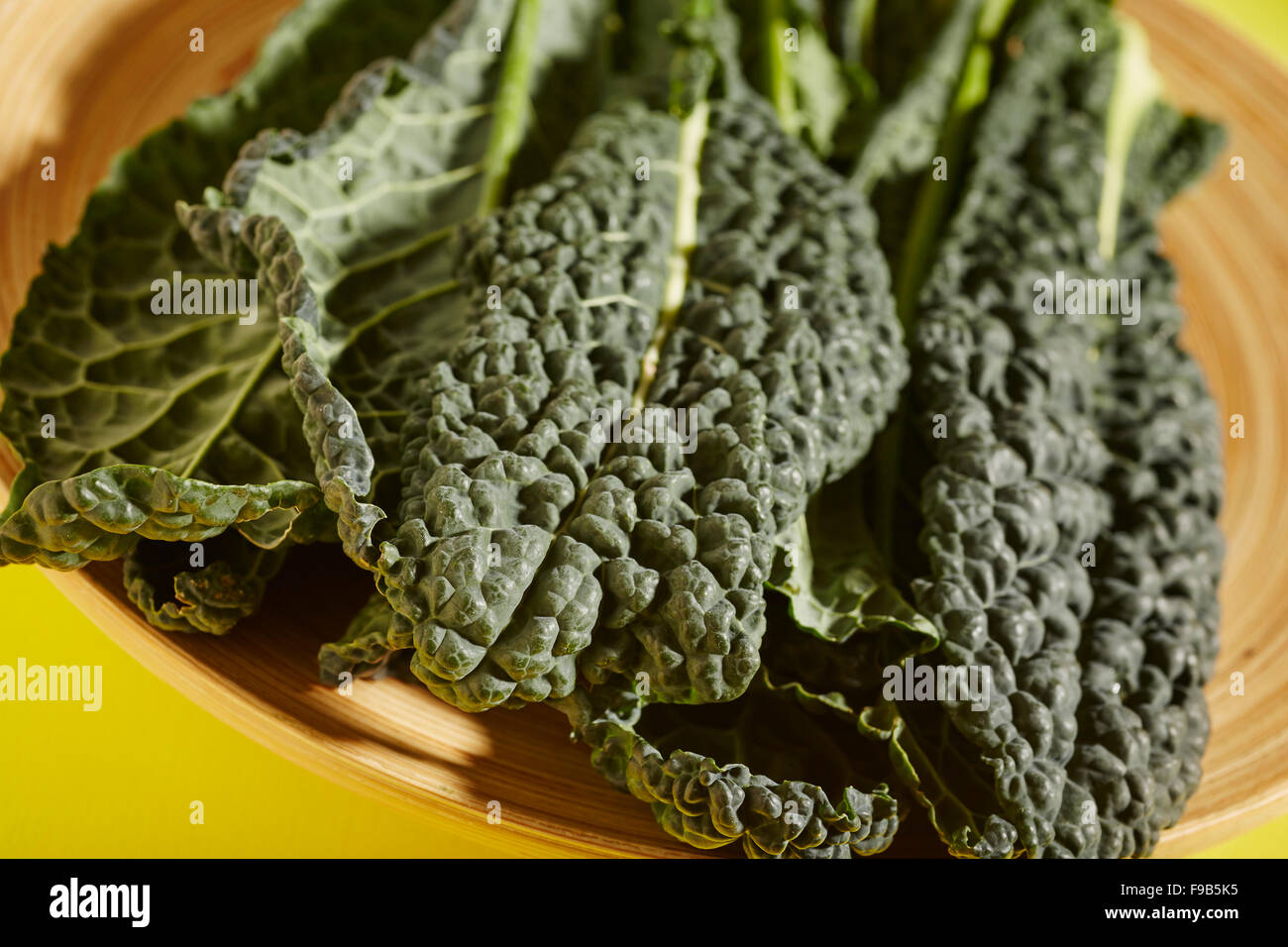 Black Cabbage, also called Tuscan Kale Stock Photo - Alamy