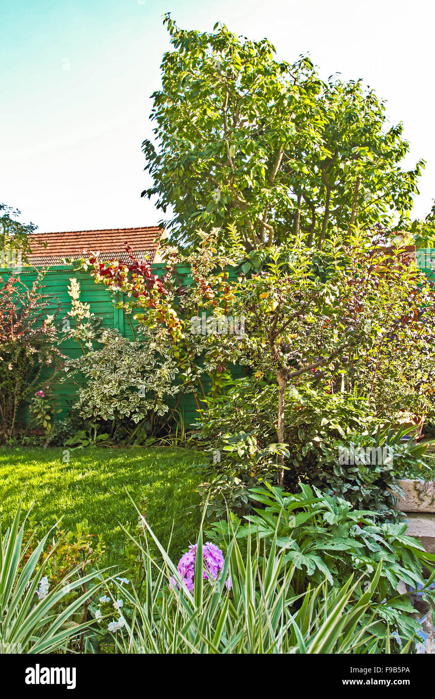 Overgrown yard outside building hi-res stock photography and images - Alamy