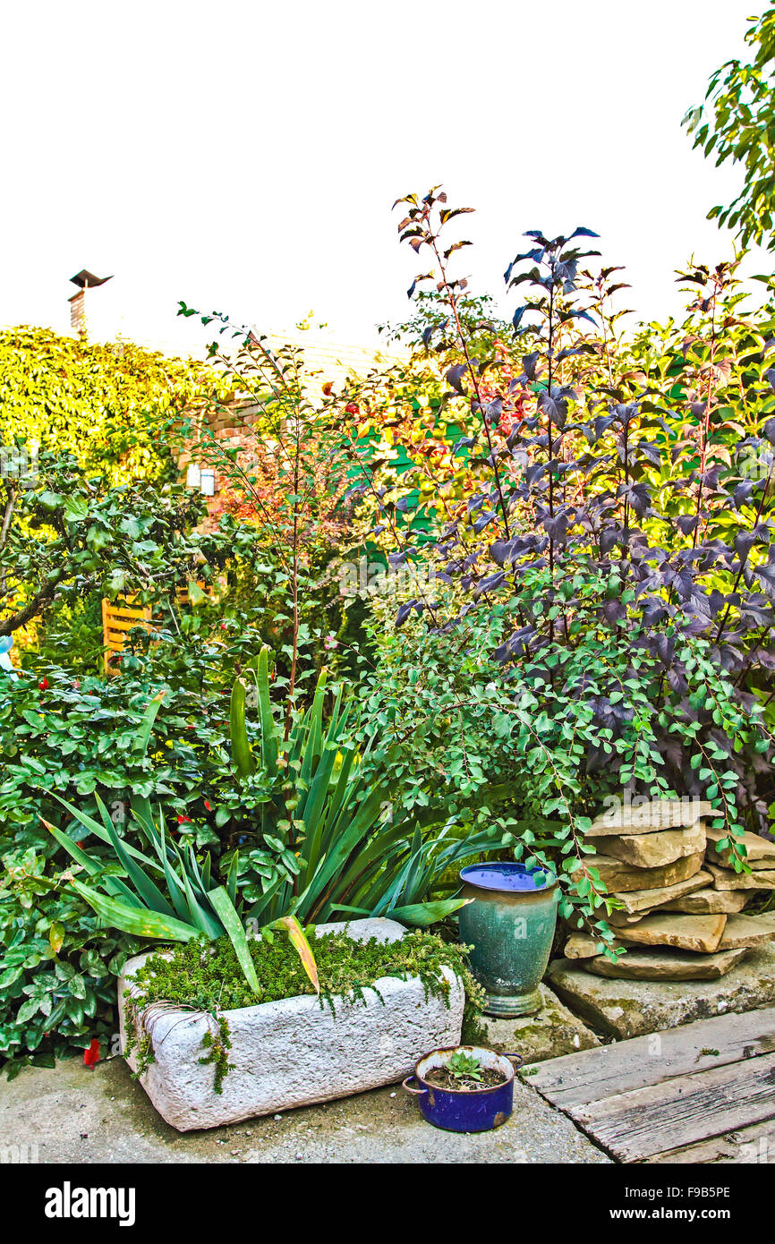 Overgrown wild garden hi-res stock photography and images - Alamy