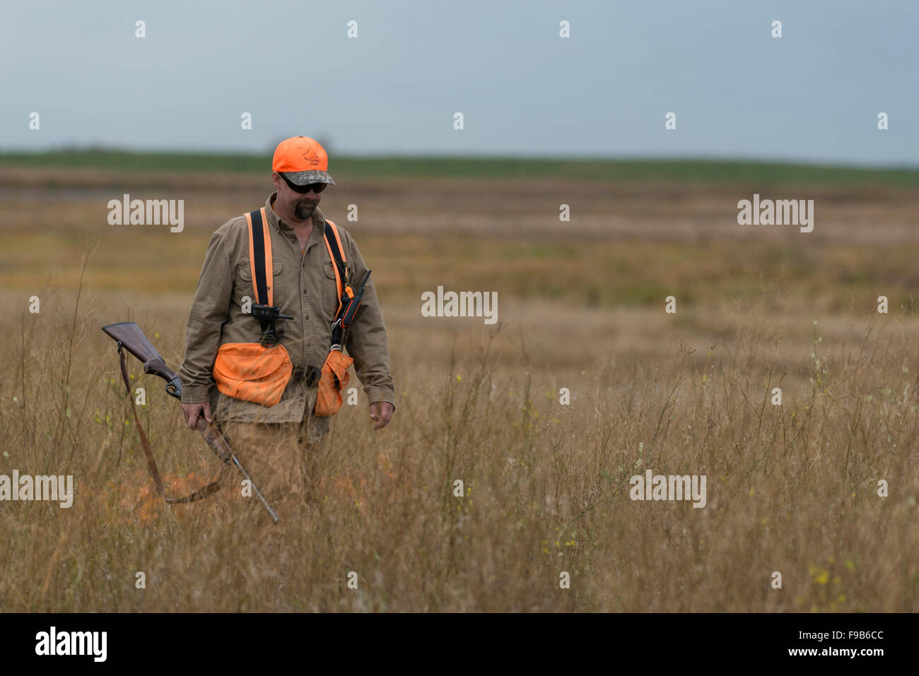 A bird hunter on a nice autumn day Stock Photo - Alamy