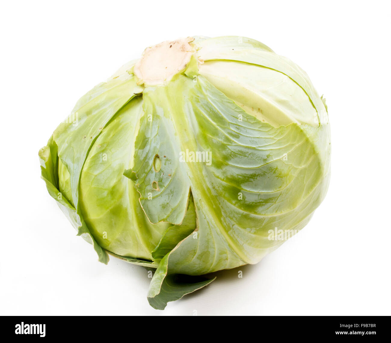 Cabbage isolated on white Stock Photo - Alamy